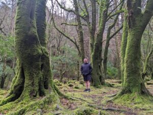 20 Best Ideas for a Magical Winter in Ireland