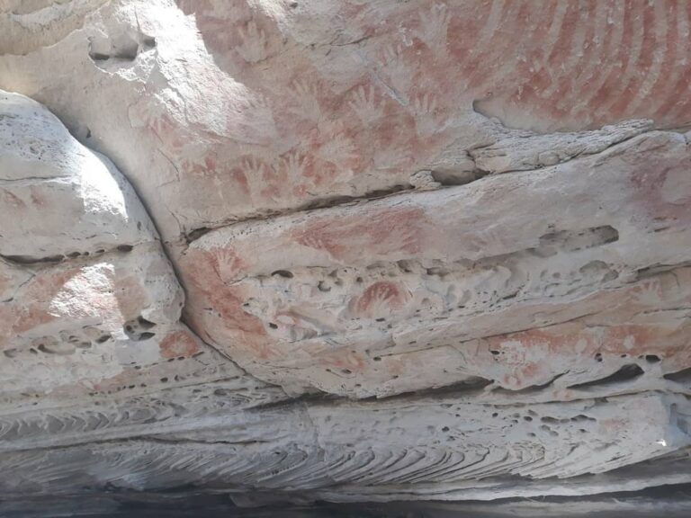Visit Carnarvon Gorge: Everything You Need To Know