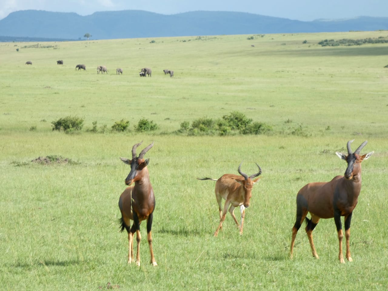 10 Best And Most Popular To Visit Kenya Attractions
