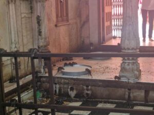 Karni Mata Rat Temple in India: 20 BEST Tips for Visiting
