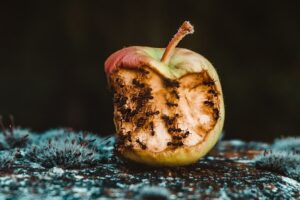 8 Quirky Irish Superstitions You Will Love (And Adopt!)