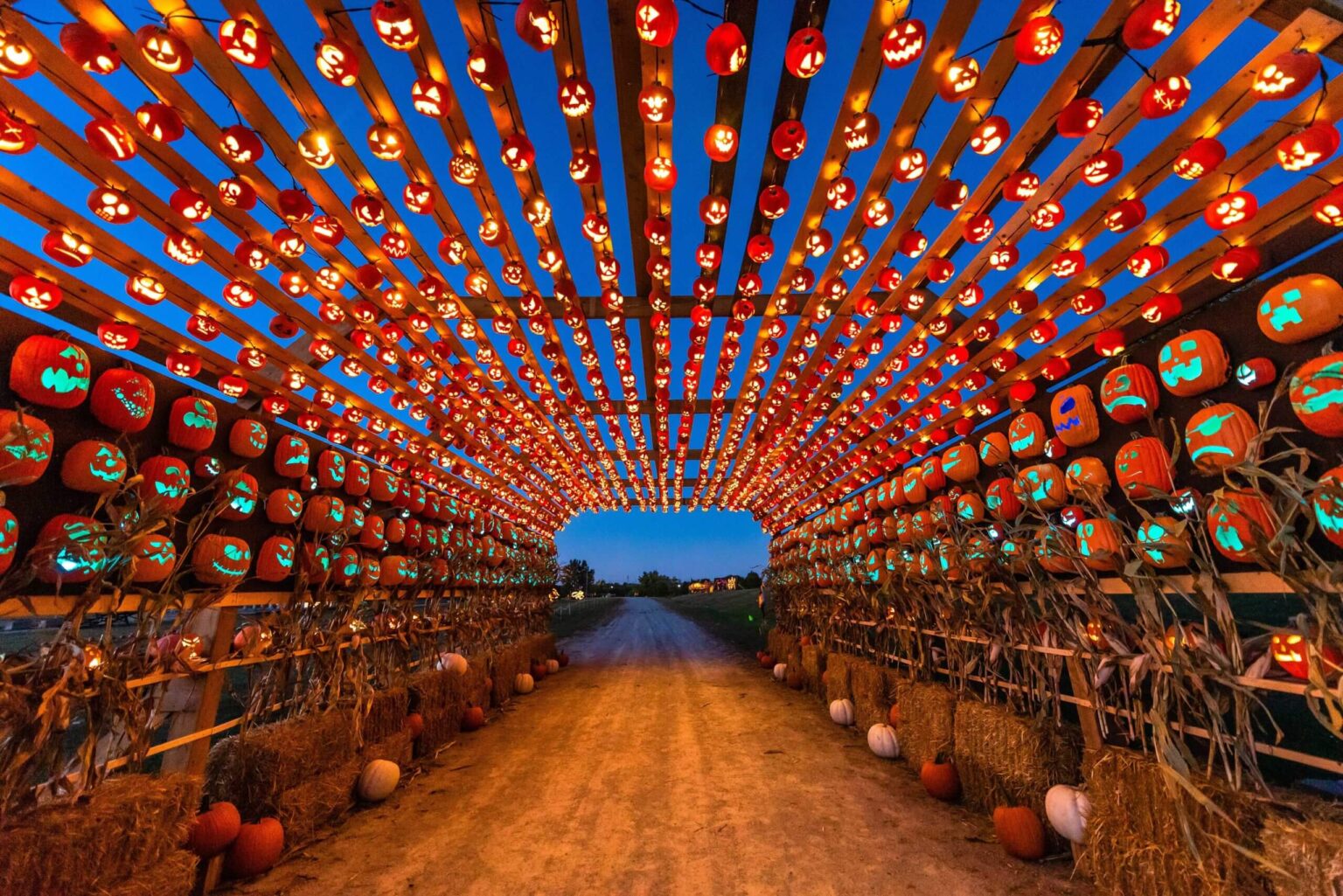 Best Halloween festivals in Ireland 2026: Complete Guide