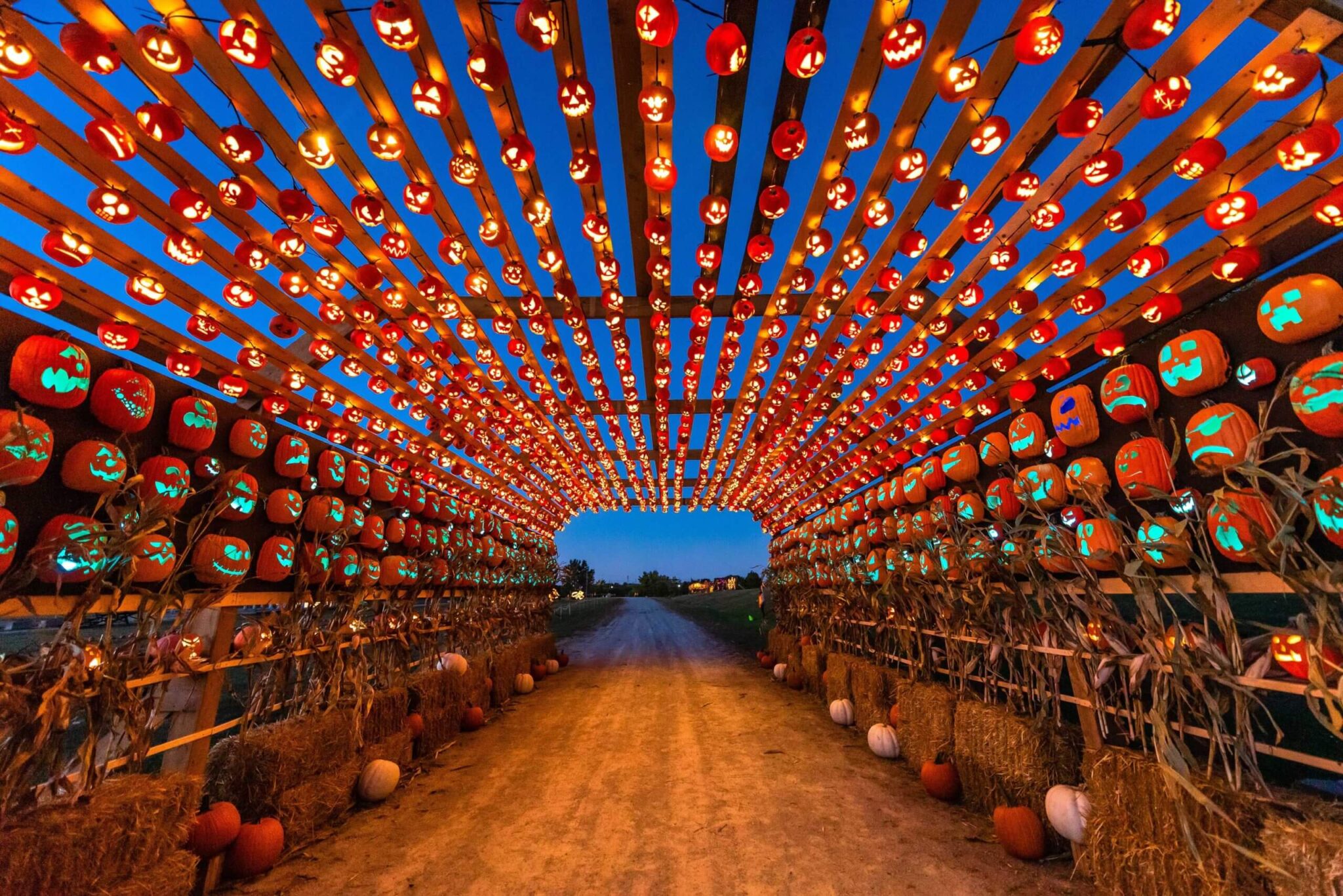 Best Halloween festivals in Ireland 2026: Complete Guide